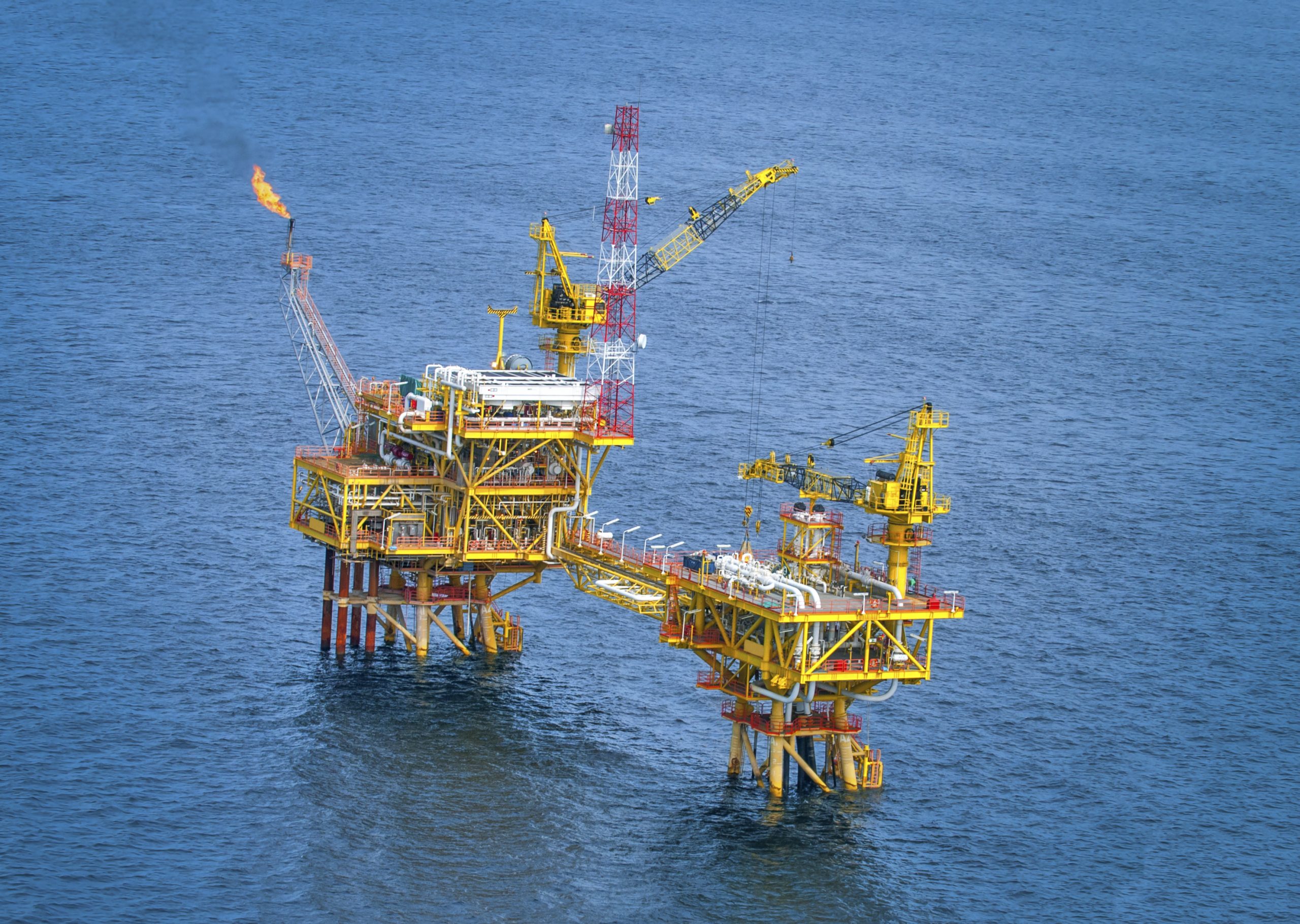 Blue Ocean Equipment Services: Leading the Way in Professional ...